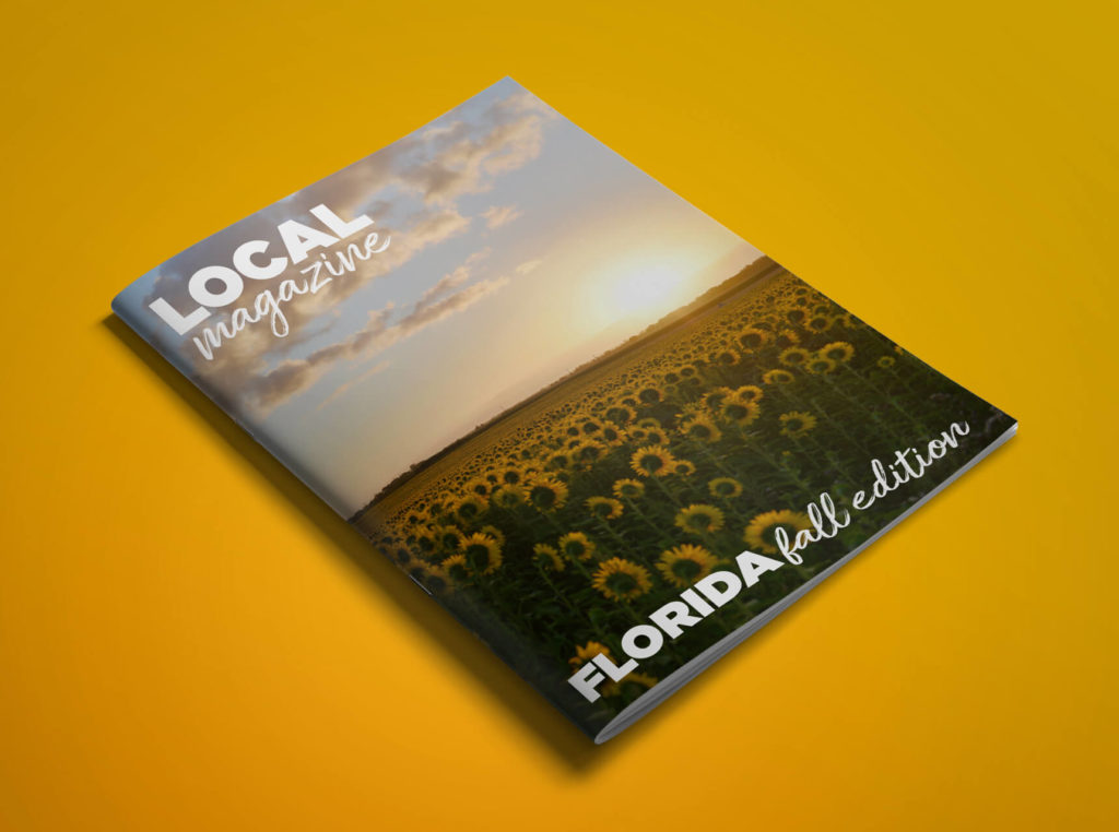 Catalogs - DME Delivers Direct Marketing